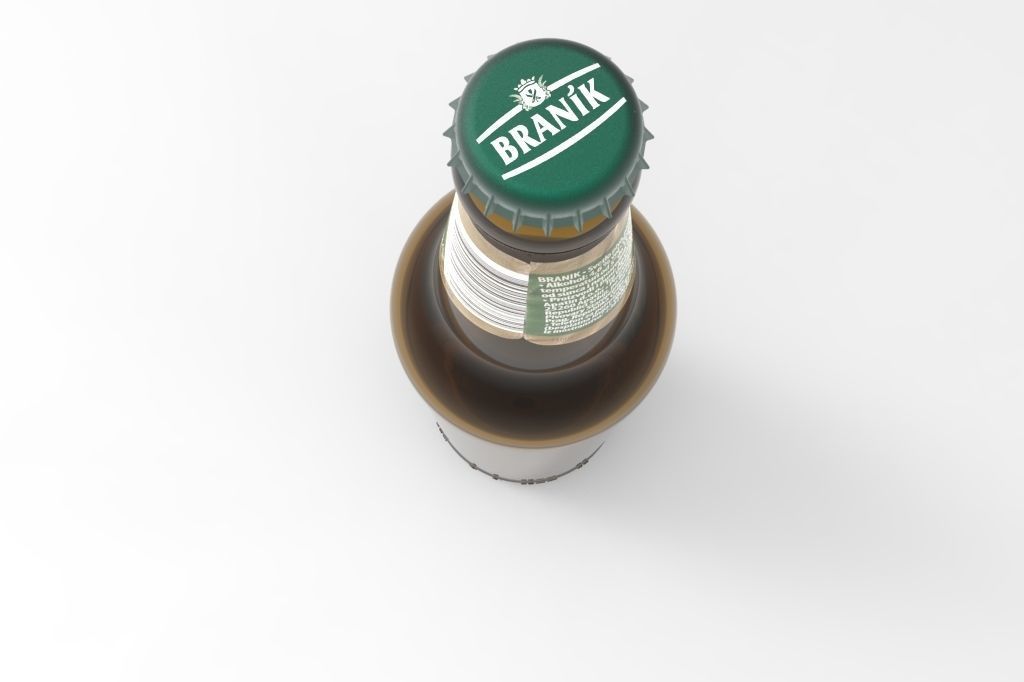 Branik Beer Bottle 3D model | CGTrader