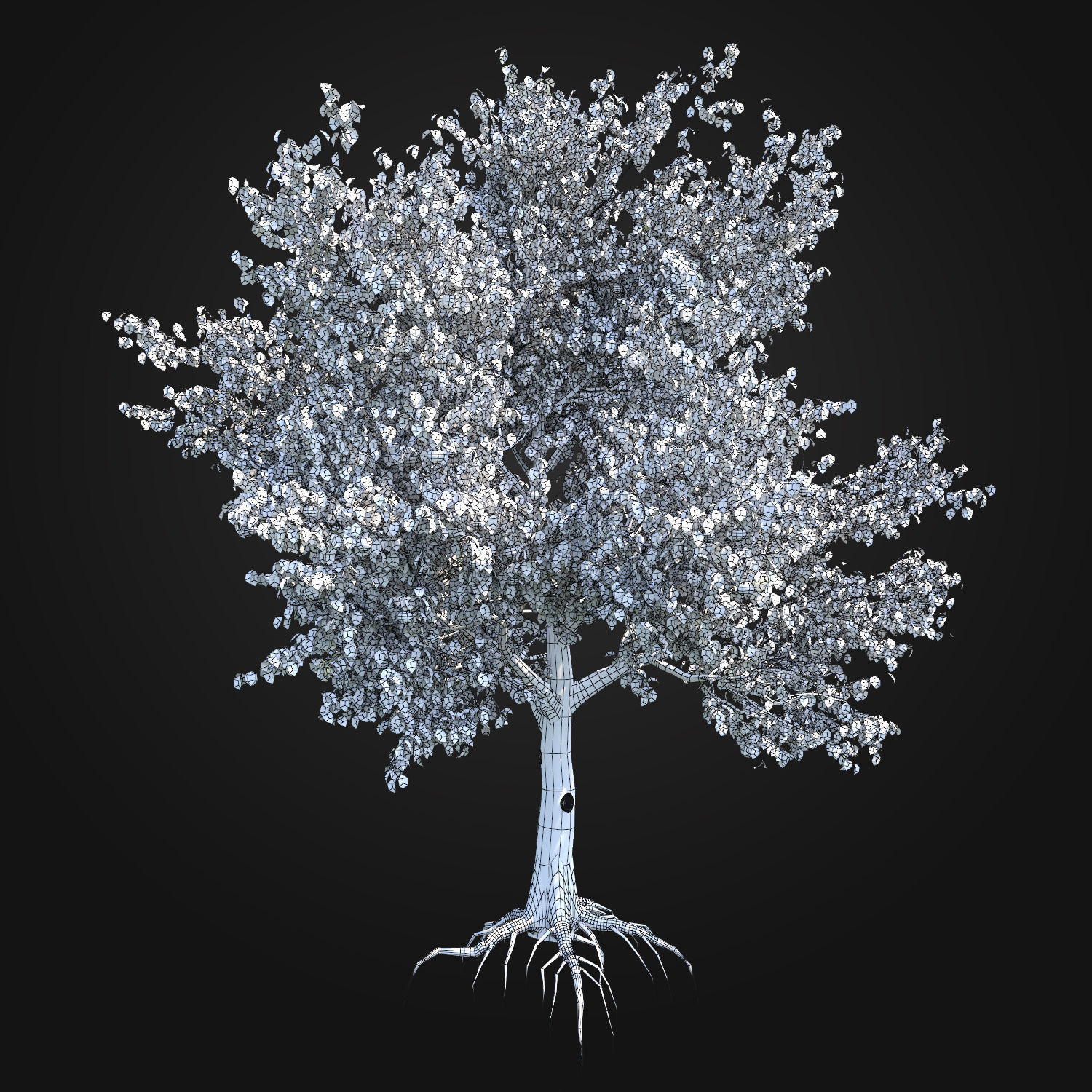 Apple Tree 1 Vray 3D model | CGTrader