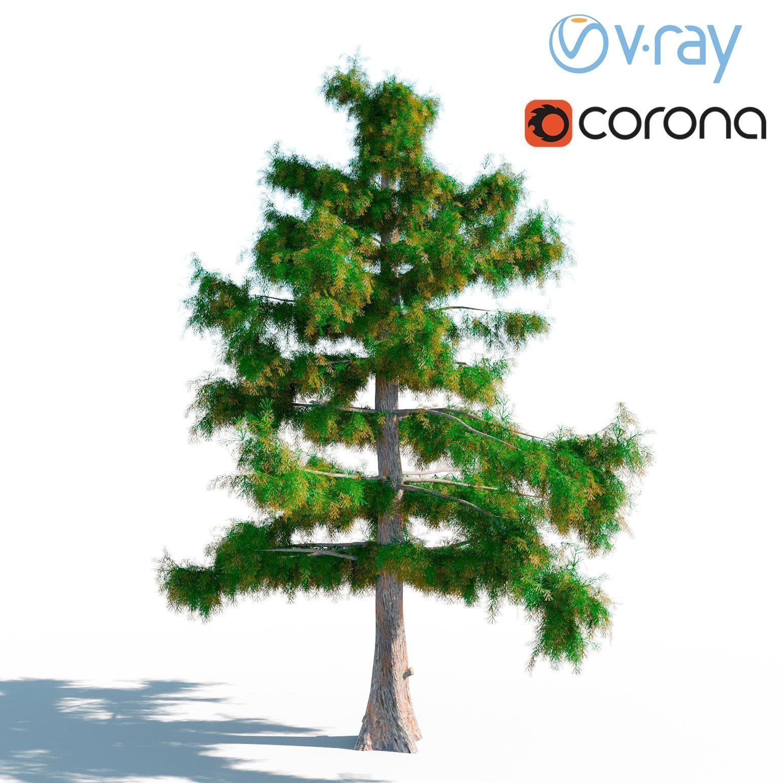 Cedar Tree No 4 3D model | CGTrader