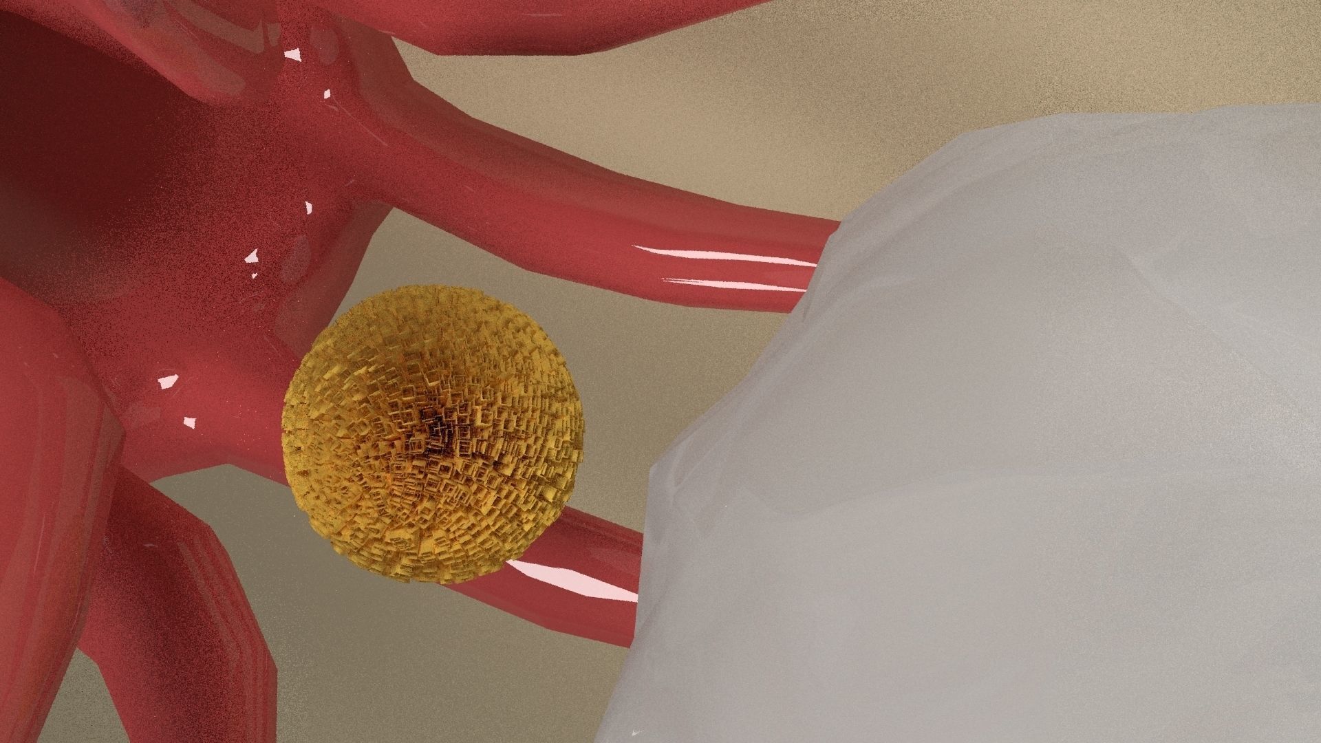 Female ovary 3D model | CGTrader