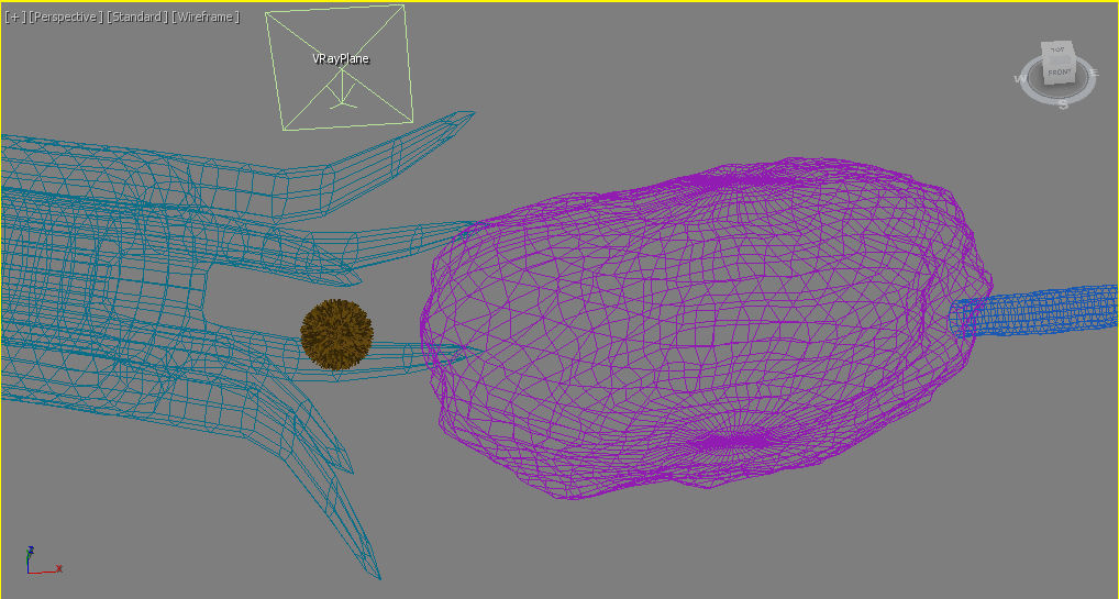 Female ovary 3D model | CGTrader