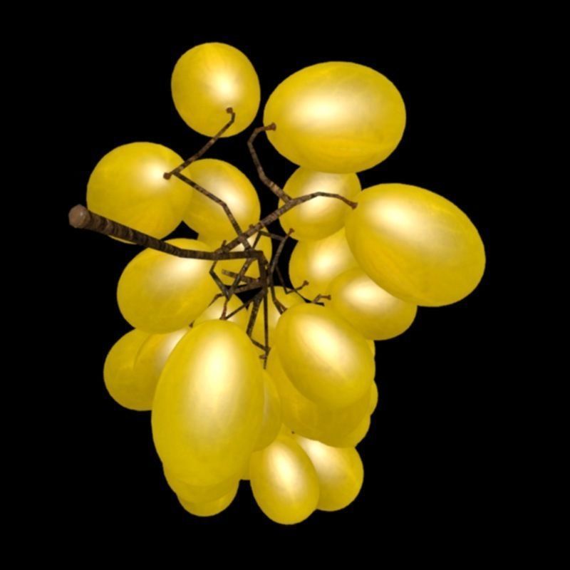3D model grape grapes VR / AR / low-poly | CGTrader