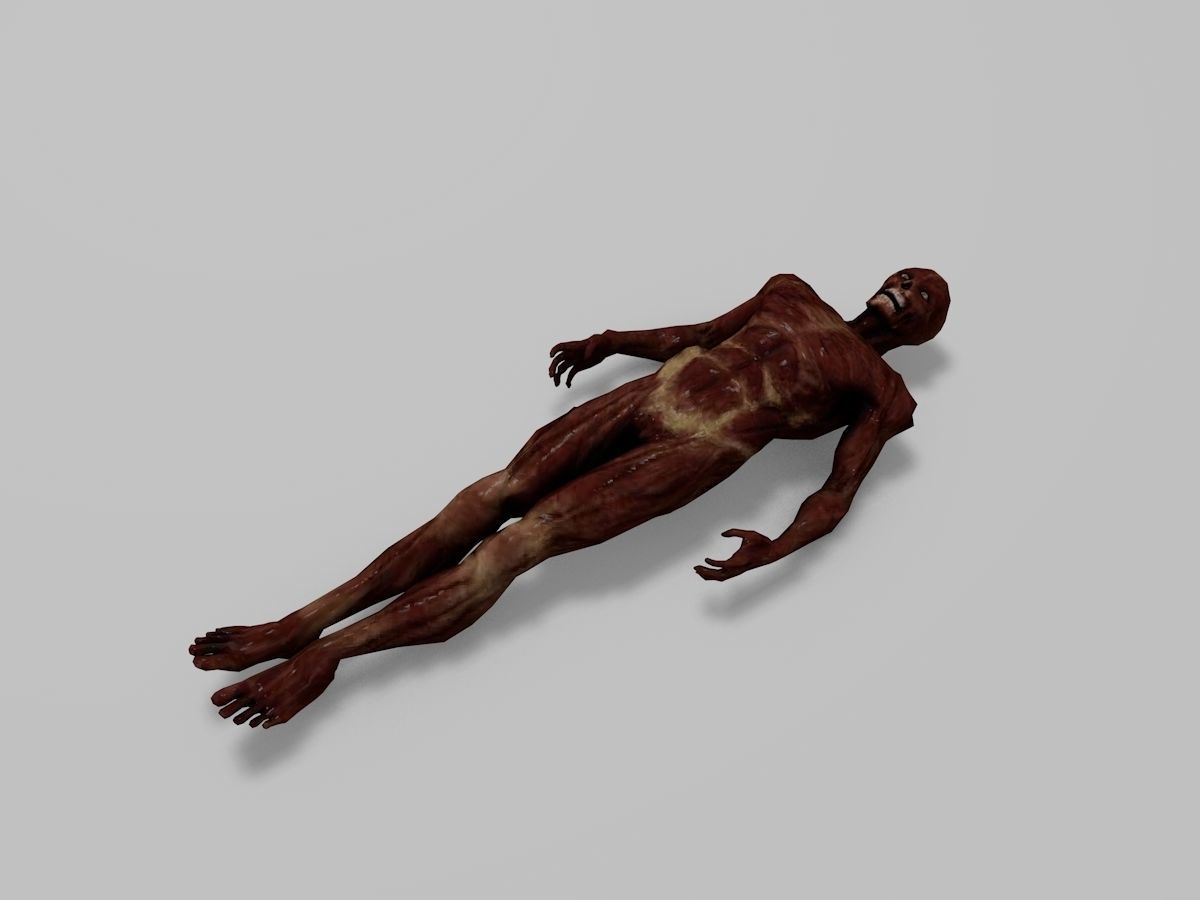 3D model Autopsy Body VR / AR / low-poly | CGTrader