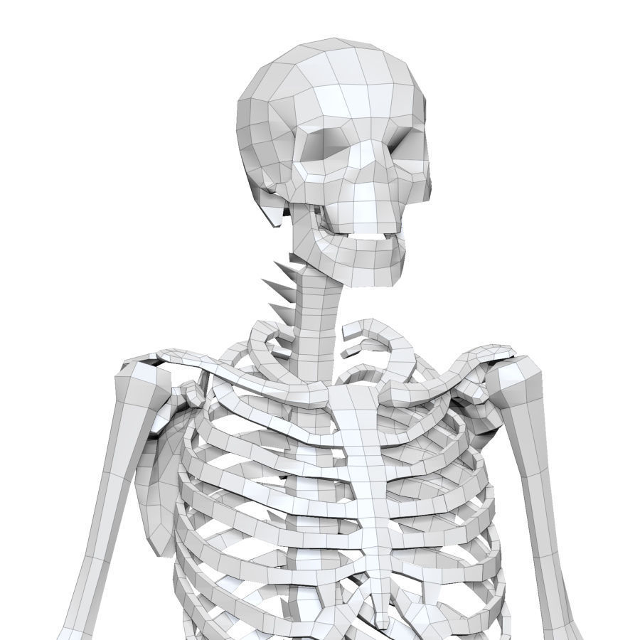 3D model Base Mesh Skeleton - Low Poly VR / AR / low-poly | CGTrader