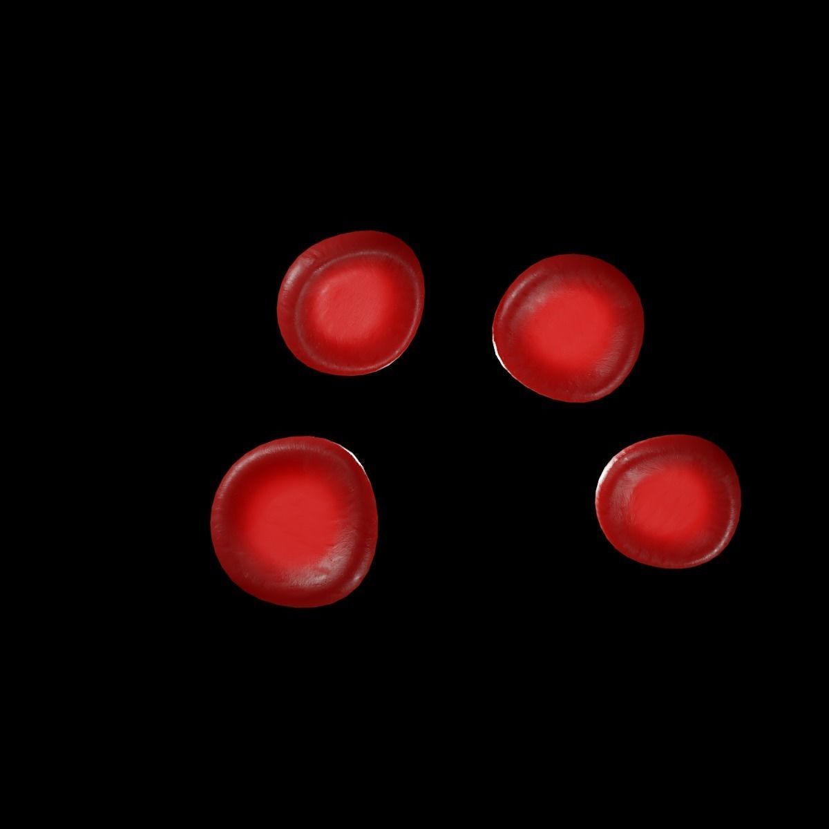 Red blood cell 3D model | CGTrader