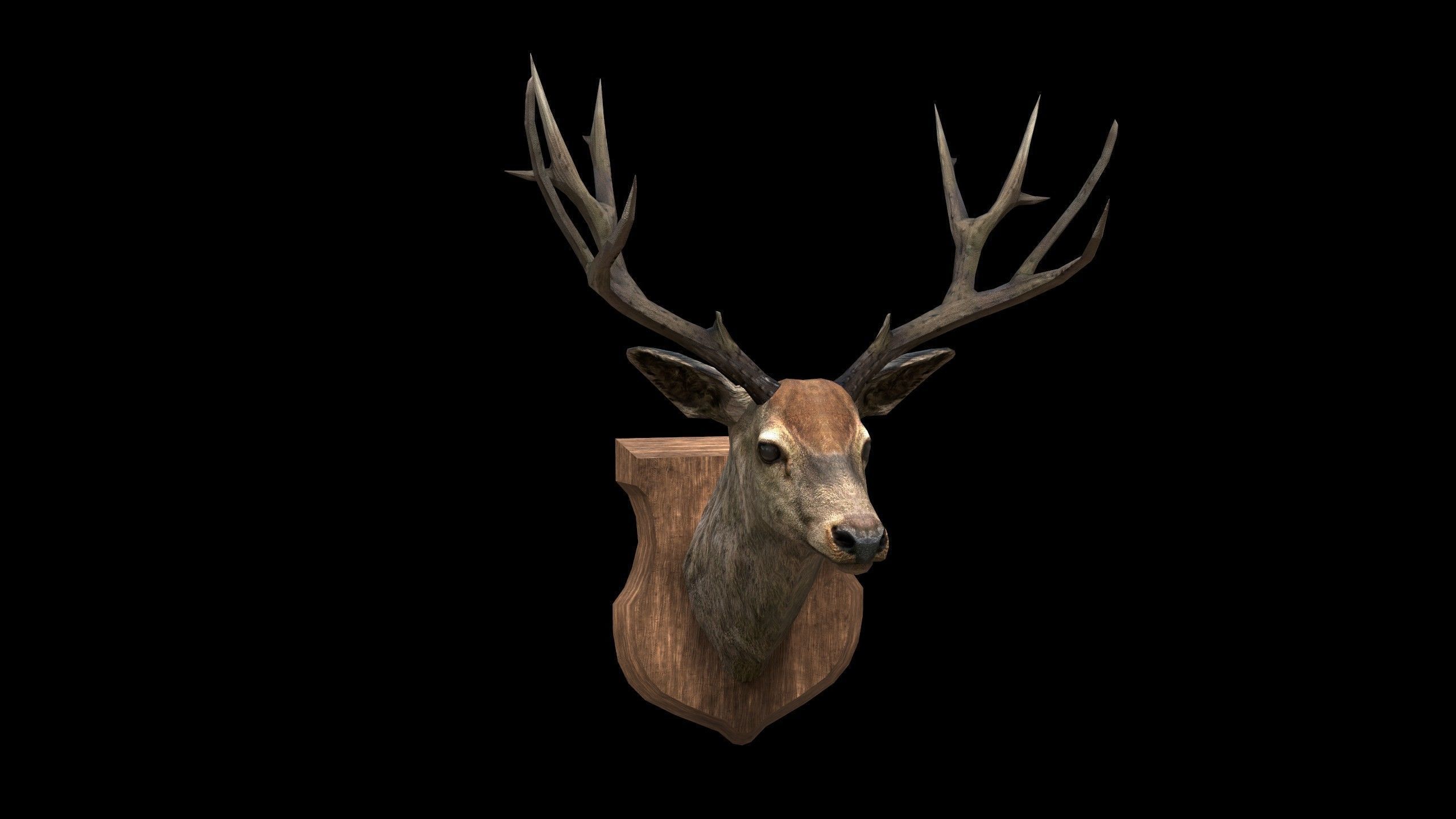 3D model Deer Head - PBR - Textured VR / AR / low-poly | CGTrader