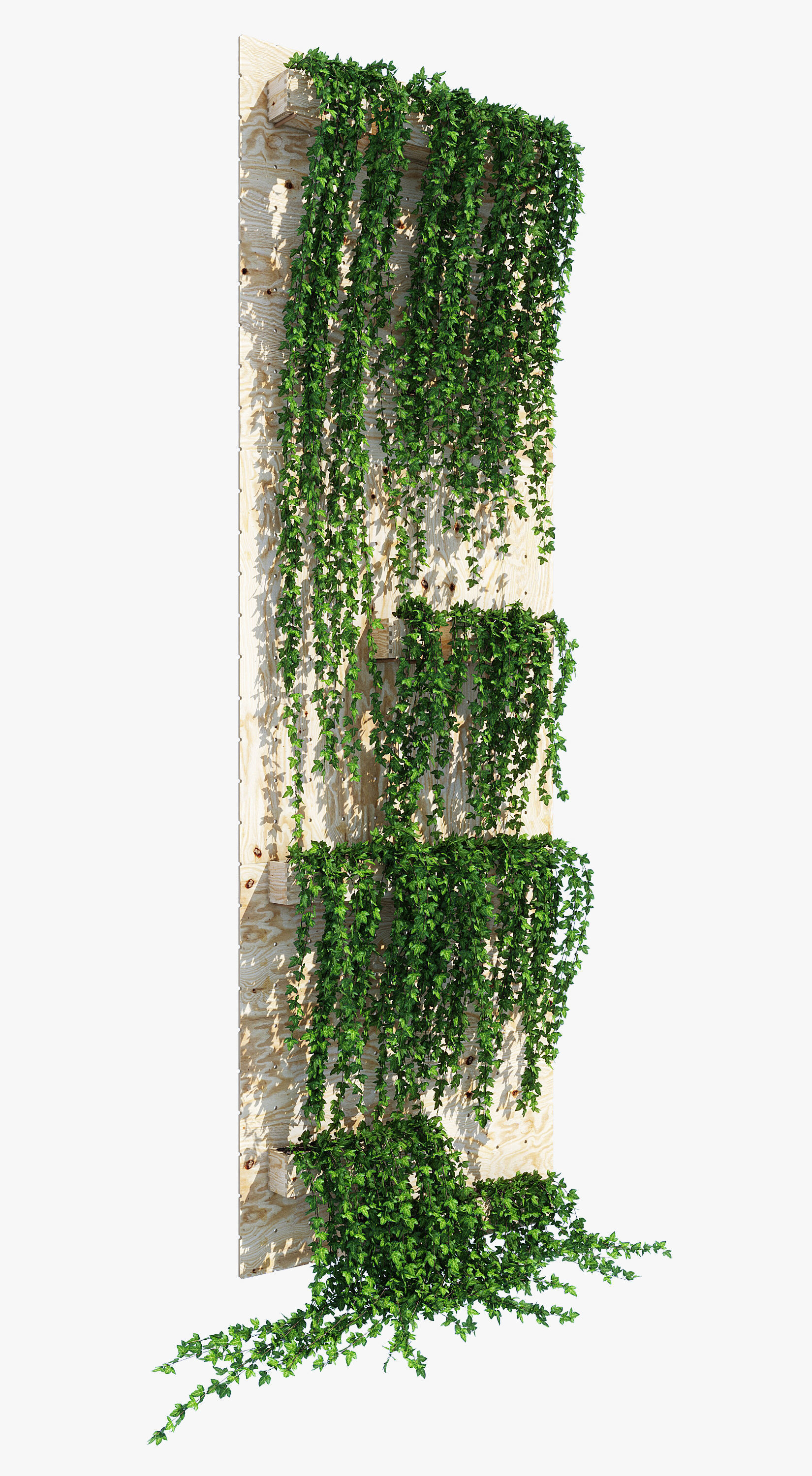 Planter box ivy 3D model | CGTrader