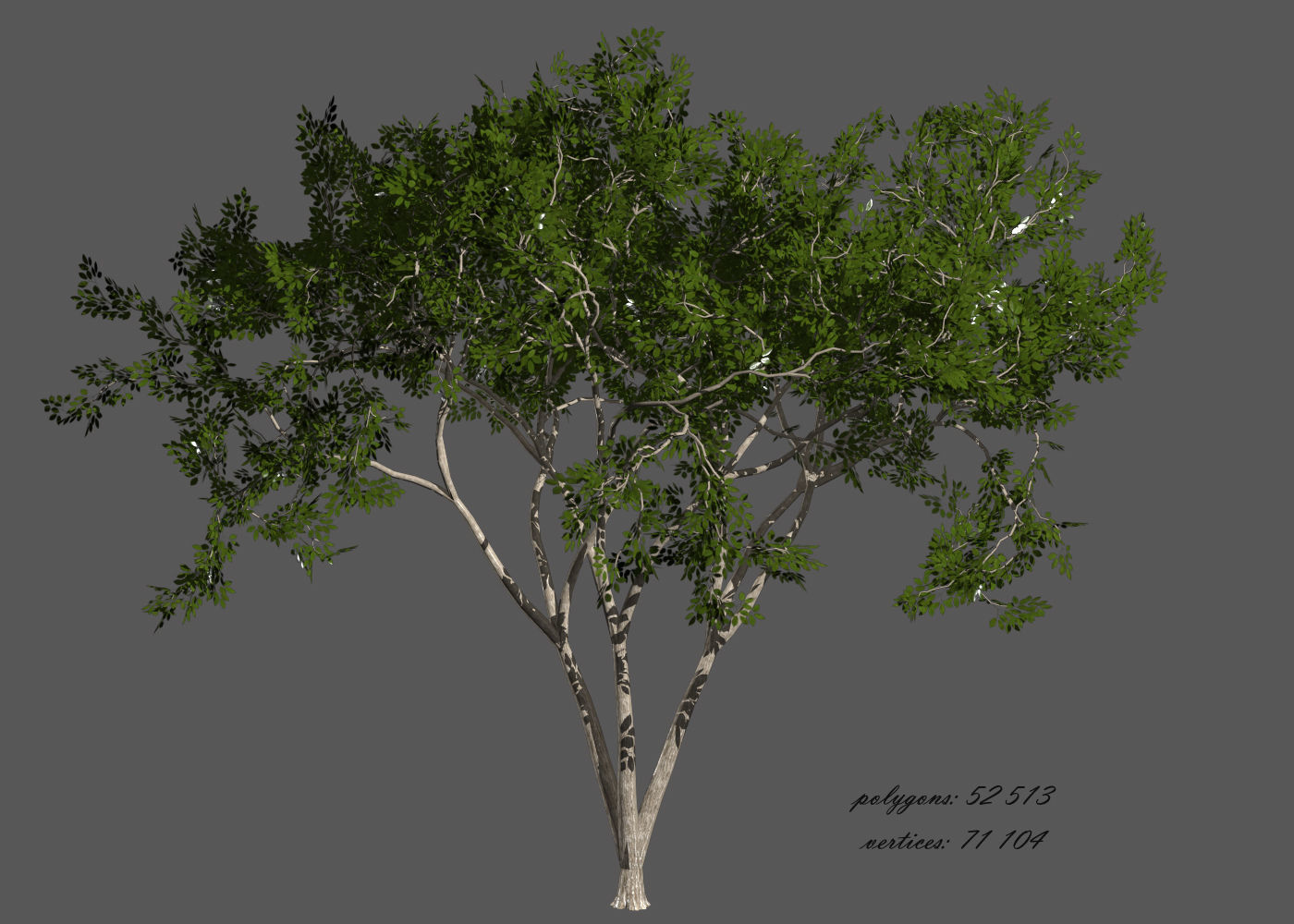3D model Deciduous tree 3D model VR / AR / low-poly | CGTrader
