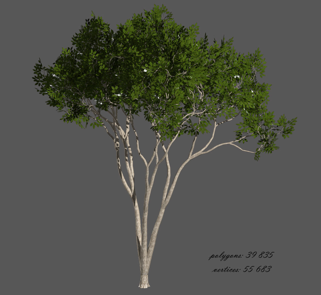 3D model Deciduous tree 3D model VR / AR / low-poly | CGTrader