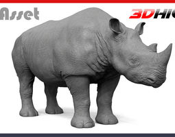 Rhinoceros 3D Models | CGTrader