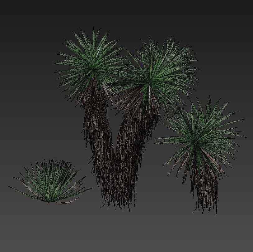 Yucca three joshua trees 3D model | CGTrader