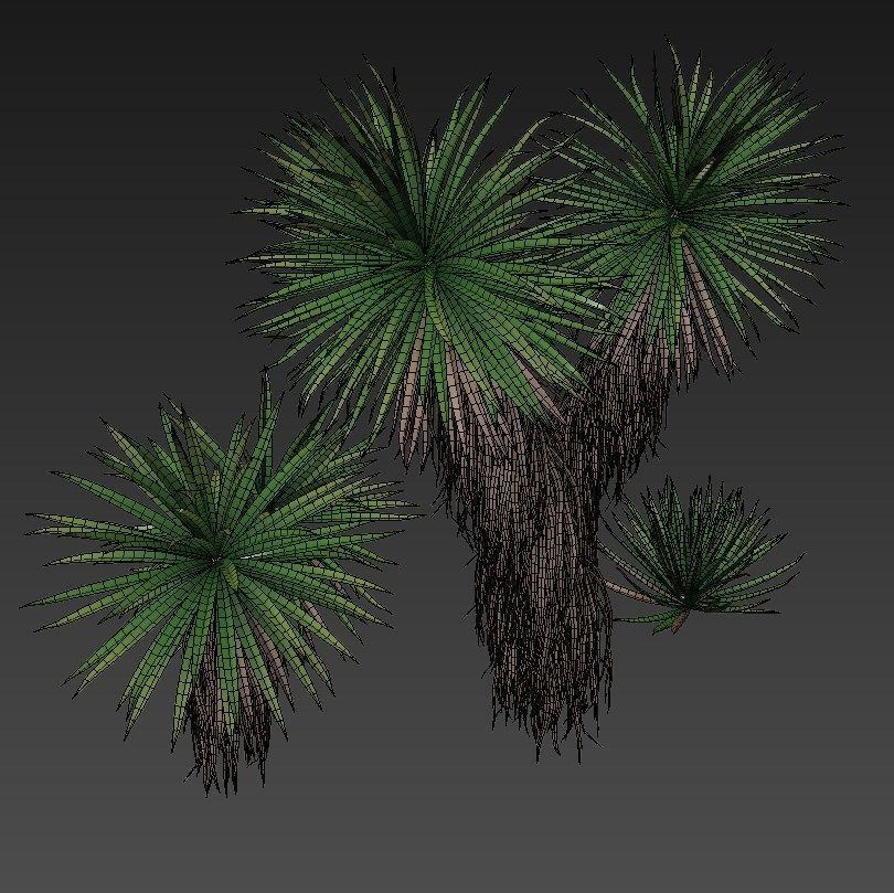 Yucca three joshua trees 3D model | CGTrader