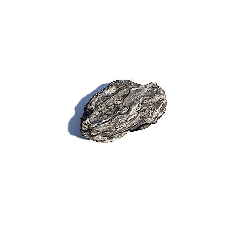 Bark Chip 3D Scan free 3D model | CGTrader