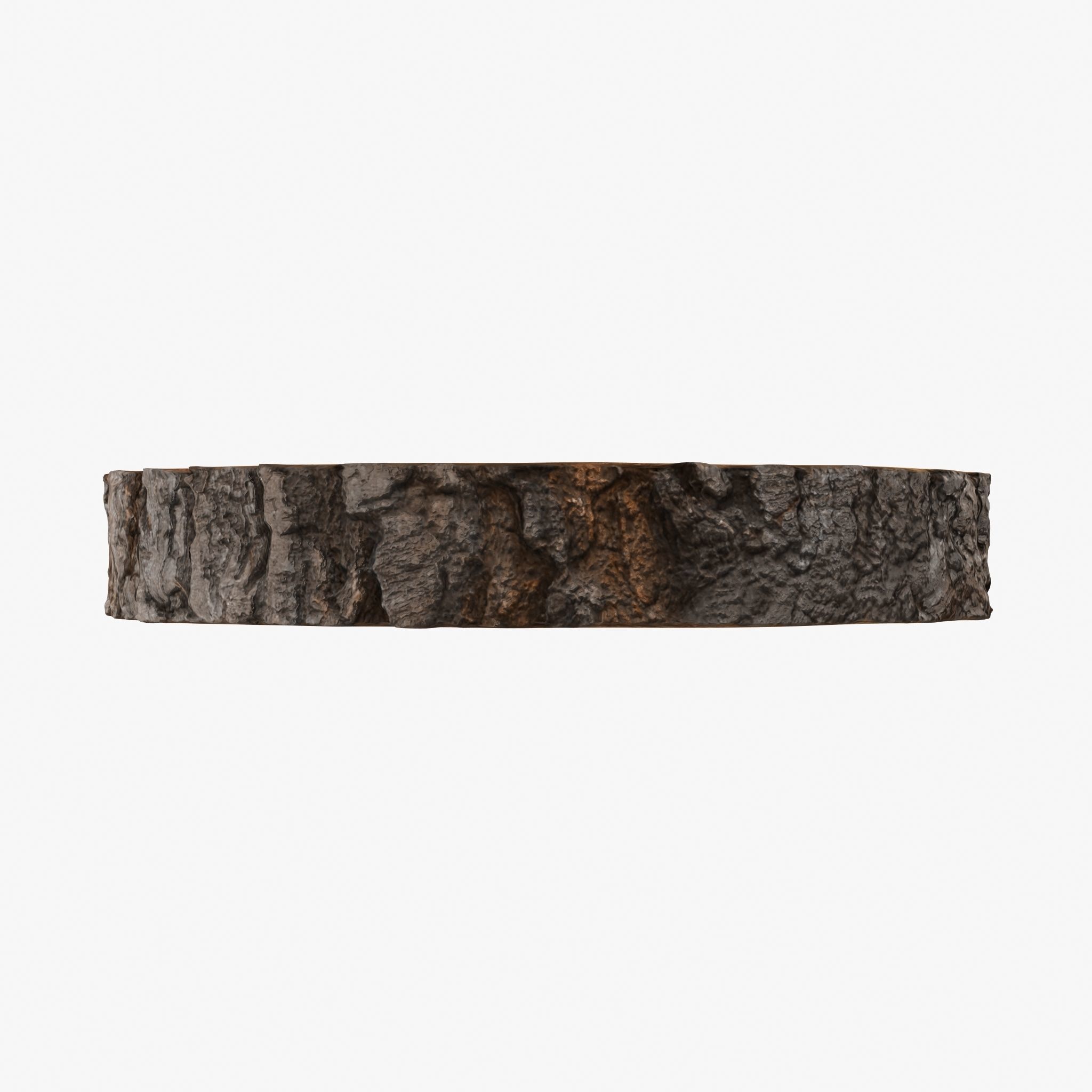 Wood Log Slice 3D model | CGTrader