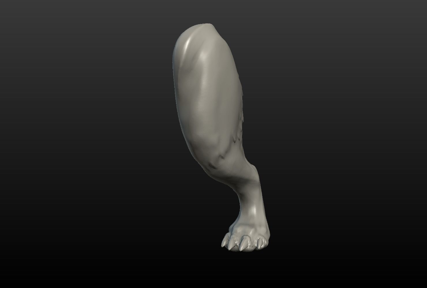Wolf Hind Leg 3D model 3D printable | CGTrader