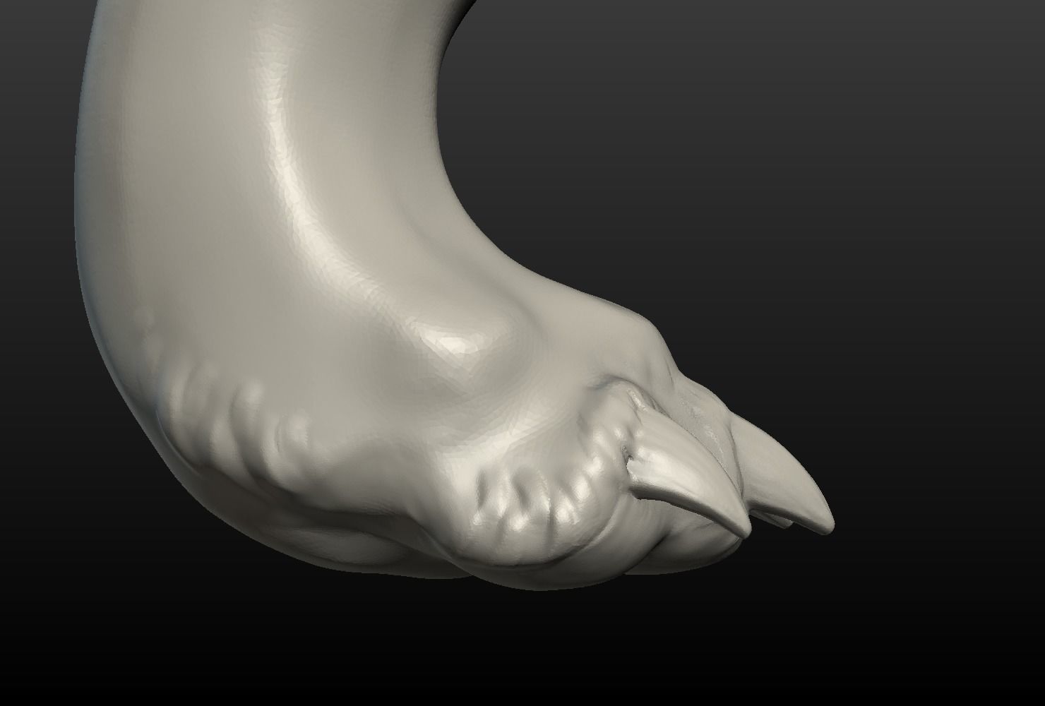 Wolf Hind Leg 3D model 3D printable | CGTrader