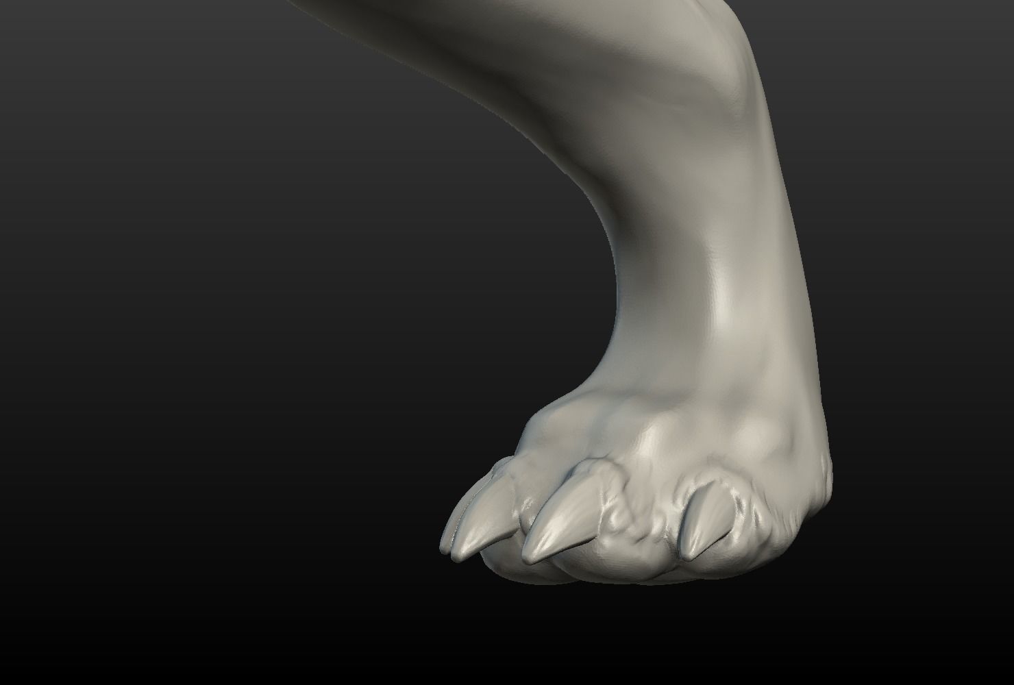 Wolf Hind Leg 3D model 3D printable | CGTrader