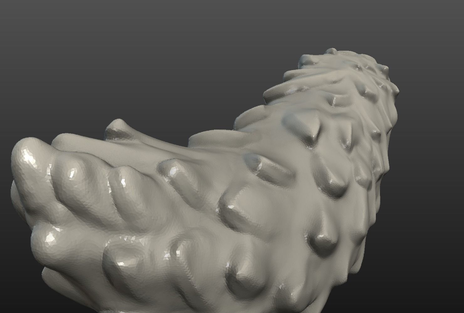 Wolf Tail 3D model 3D printable | CGTrader