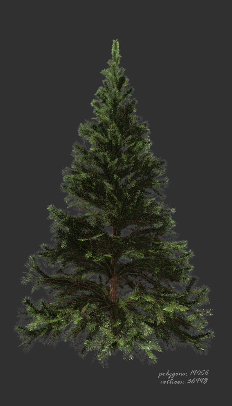 3D model Tree fir 3D model VR / AR / low-poly | CGTrader