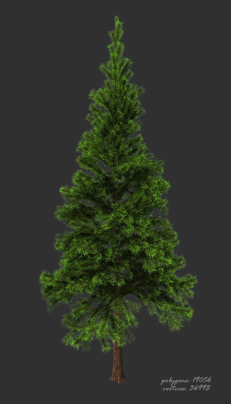 3D model Tree fir 3D model VR / AR / low-poly | CGTrader