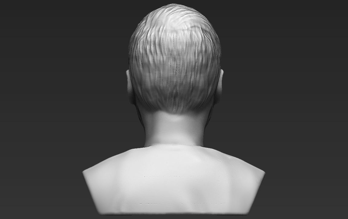 Sheldon Big Bang Theory bust 3D printing ready stl obj formats 3D model ...