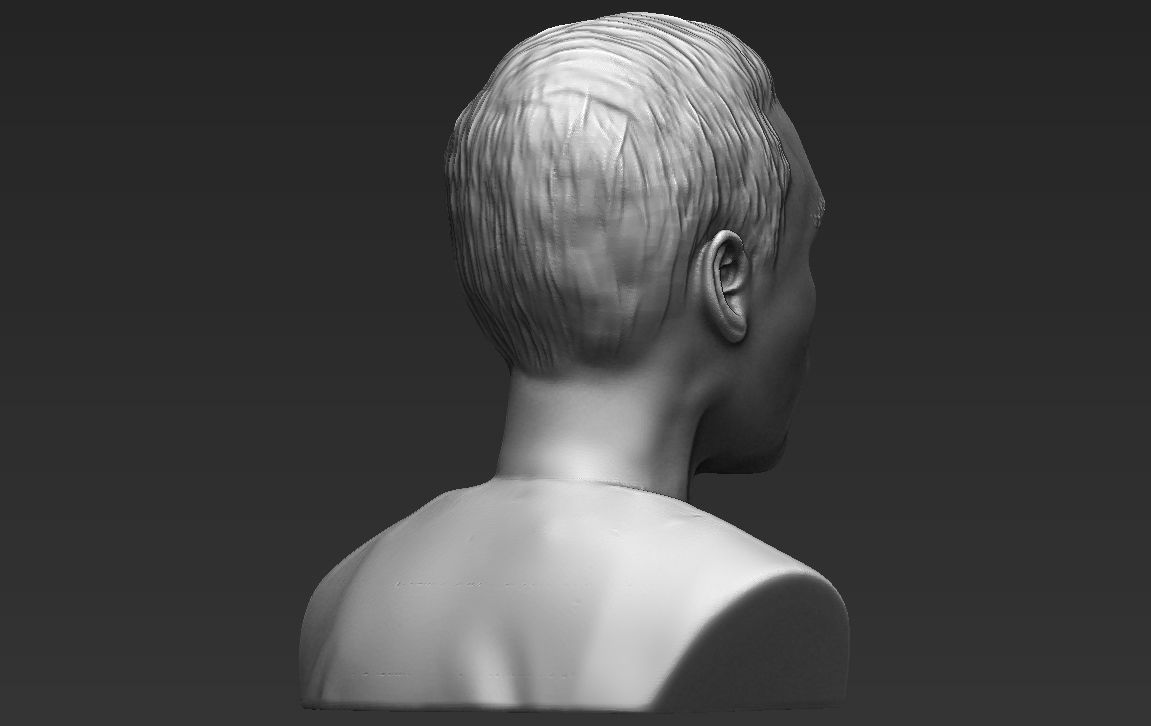 Sheldon Big Bang Theory bust 3D printing ready stl obj formats 3D model ...