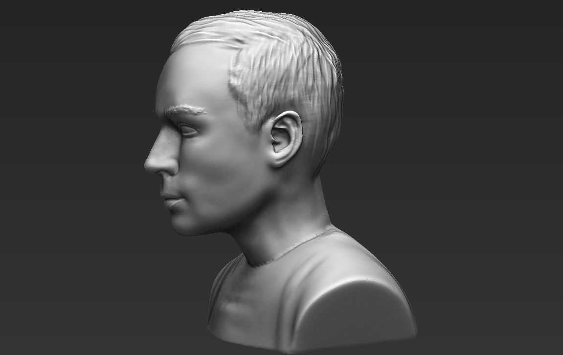 Sheldon Big Bang Theory bust 3D printing ready stl obj formats 3D model ...