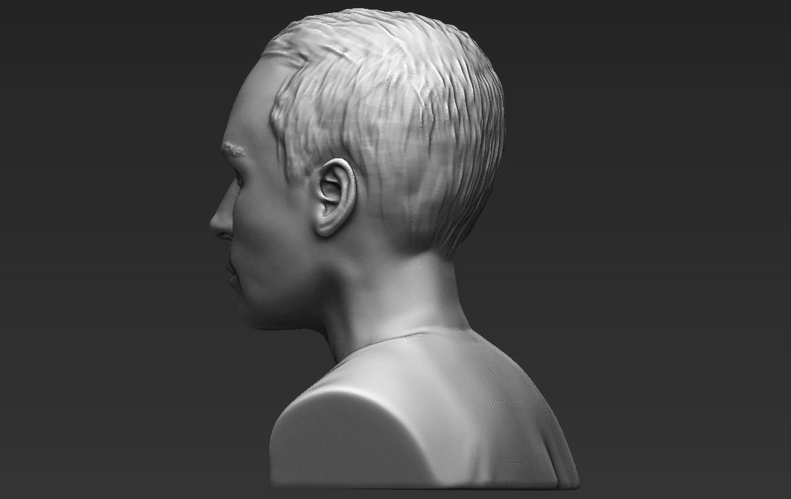 Sheldon Big Bang Theory bust 3D printing ready stl obj formats 3D model ...