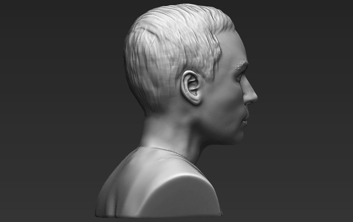 Sheldon Big Bang Theory bust 3D printing ready stl obj formats 3D model ...