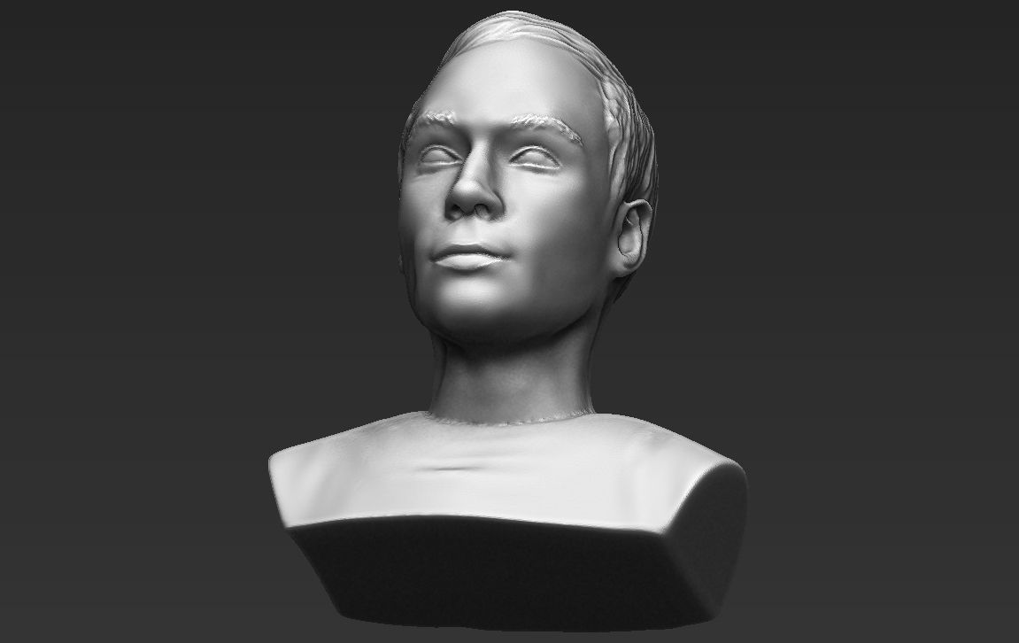 Sheldon Big Bang Theory bust 3D printing ready stl obj formats 3D model ...