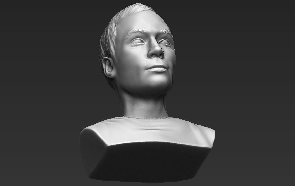 Sheldon Big Bang Theory bust 3D printing ready stl obj formats 3D model ...