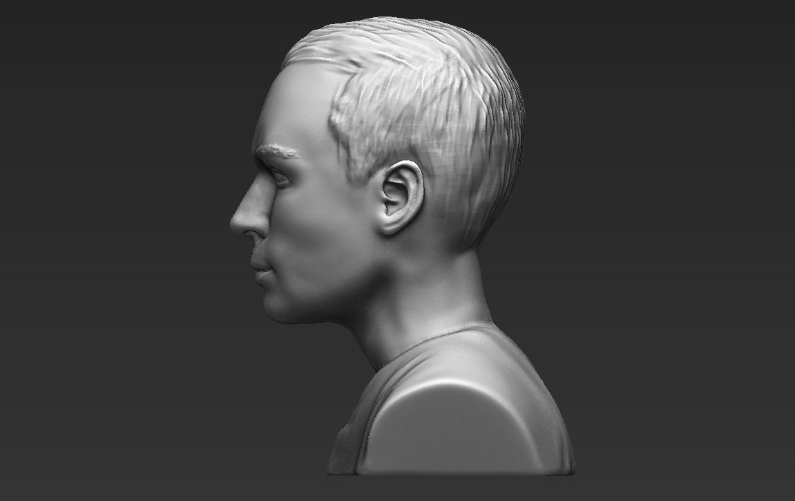 Sheldon Big Bang Theory bust 3D printing ready stl obj formats 3D model ...
