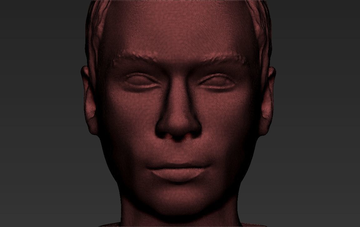 Sheldon Big Bang Theory bust 3D printing ready stl obj formats 3D model ...