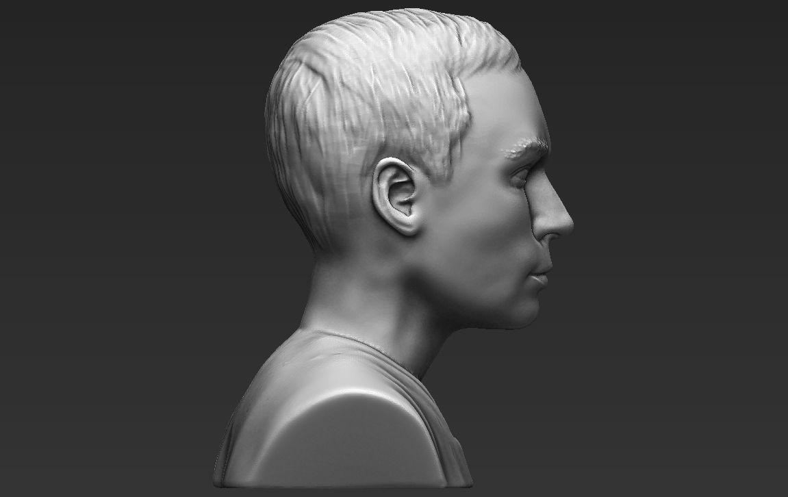 Sheldon Big Bang Theory bust ready for full color 3D printing 3D model ...