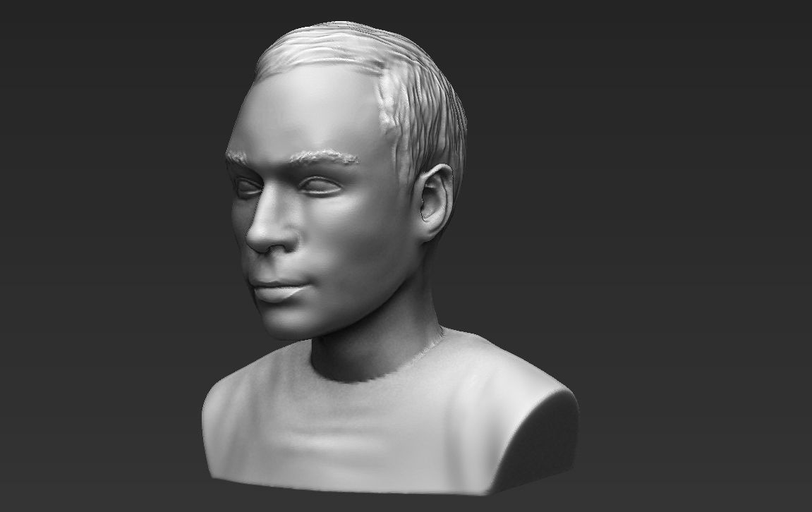 Sheldon Big Bang Theory bust ready for full color 3D printing 3D model ...