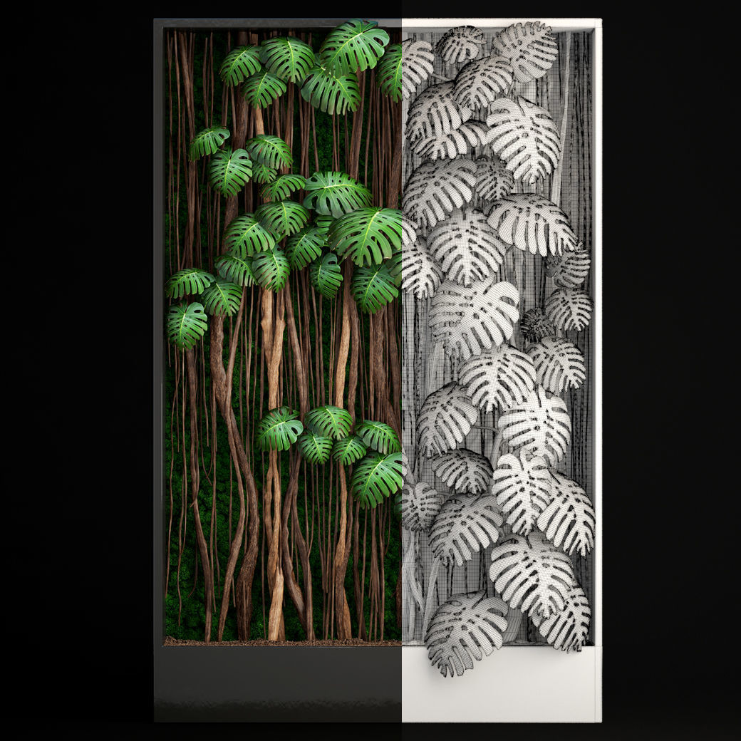 Vertical gardening Monstera 3D model | CGTrader