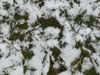 9 Seamless Snow Textures Pack Texture | CGTrader