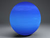 Neptune 2k Globe 3D model | CGTrader
