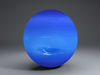 Neptune 2k Globe 3D model | CGTrader