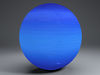 Neptune 2k Globe 3D model | CGTrader