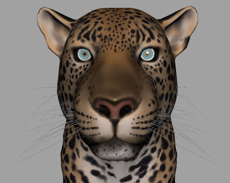 Rigged Leopard Maya 3D Model with 2K Textures 3D model rigged | CGTrader