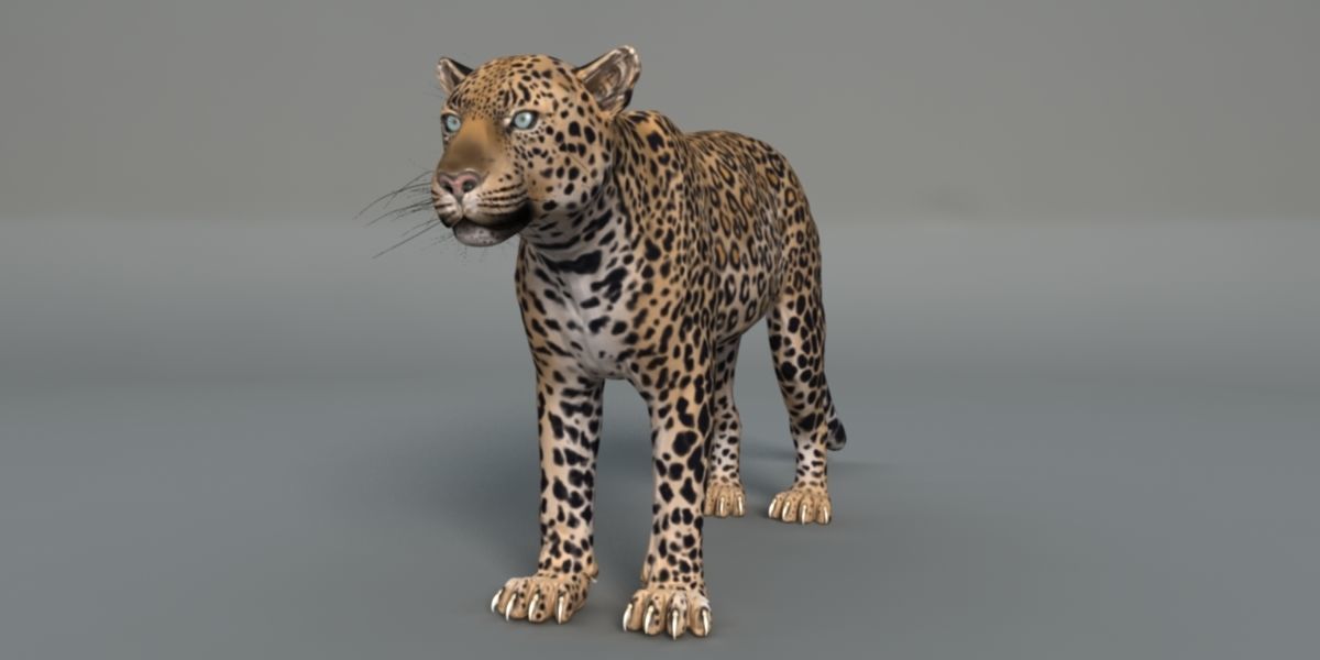 Rigged Leopard Maya 3D Model with 2K Textures 3D model rigged | CGTrader