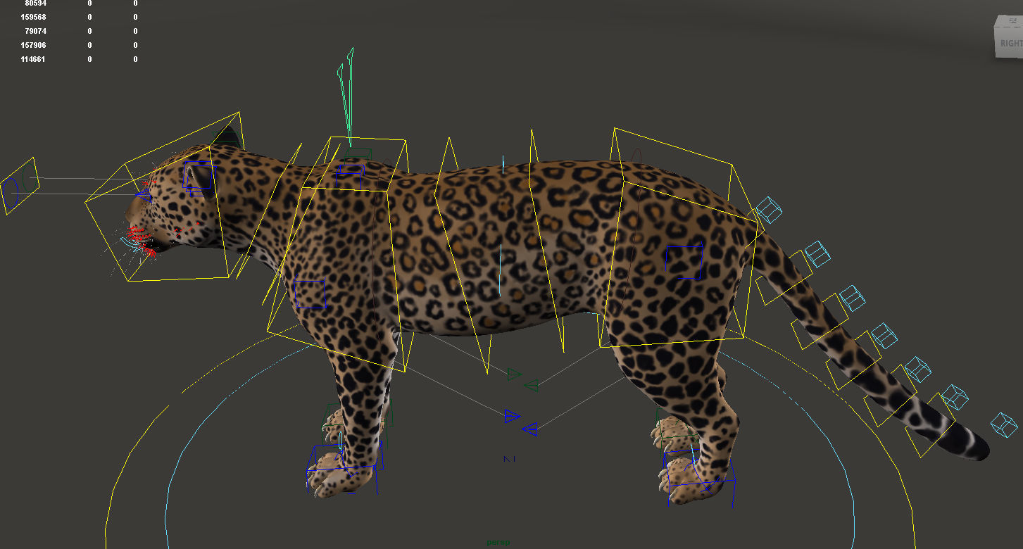 Rigged Leopard Maya 3D Model with 2K Textures 3D model rigged | CGTrader