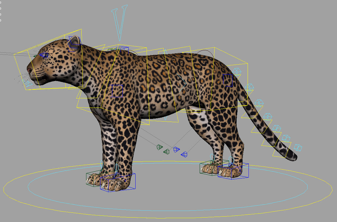 Rigged Leopard Maya 3D Model with 2K Textures 3D model rigged | CGTrader