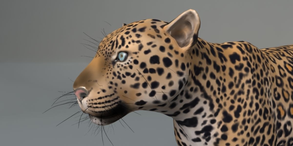 Rigged Leopard Maya 3D Model with 2K Textures 3D model rigged | CGTrader