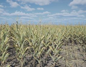 Cornfield 3D Models | CGTrader