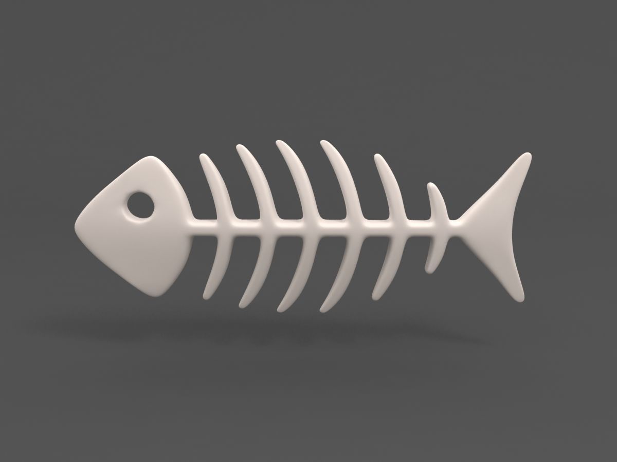 Fish Bone 3D model | CGTrader