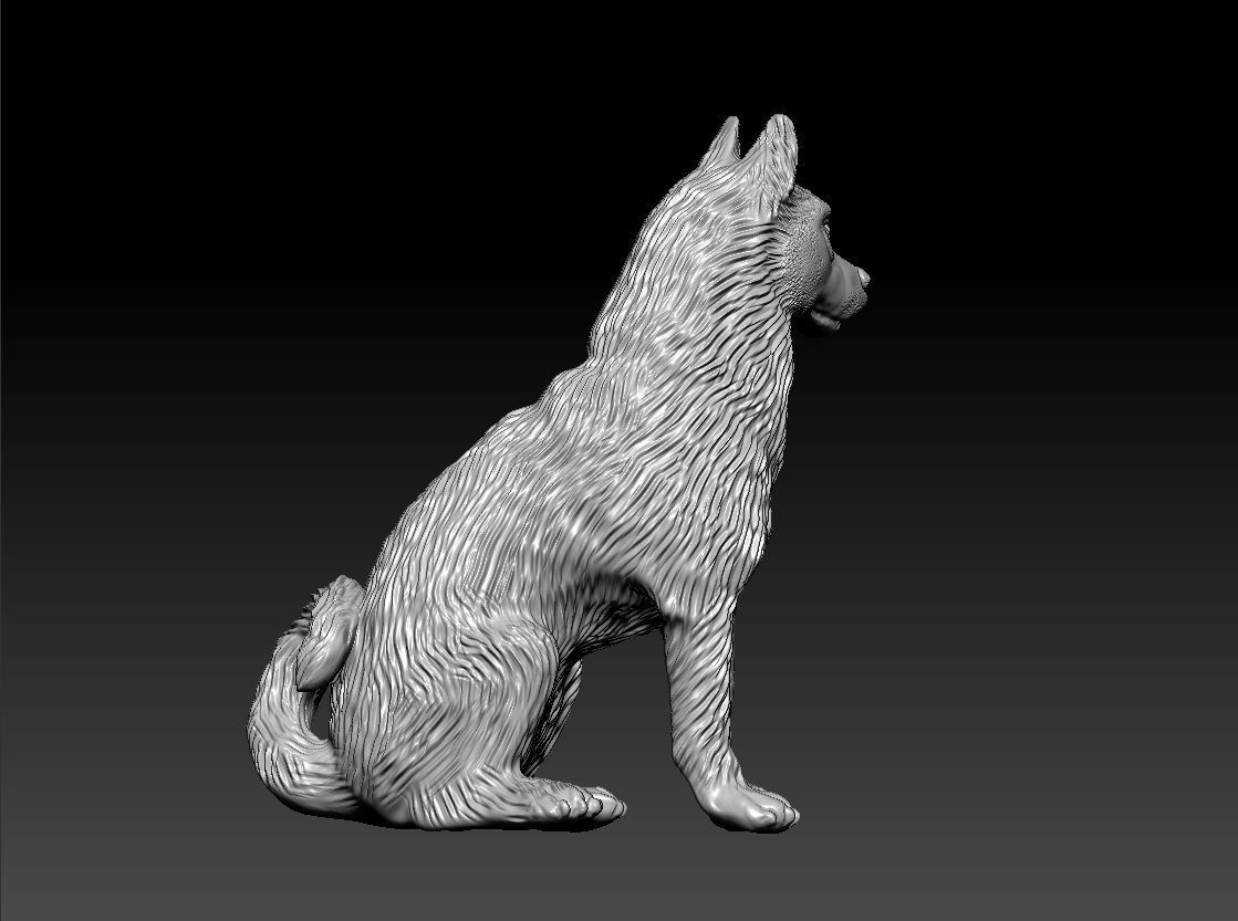 Siberian Husky sculpture 3D model 3D printable | CGTrader