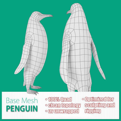 3D model Penguin base mesh VR / AR / low-poly | CGTrader