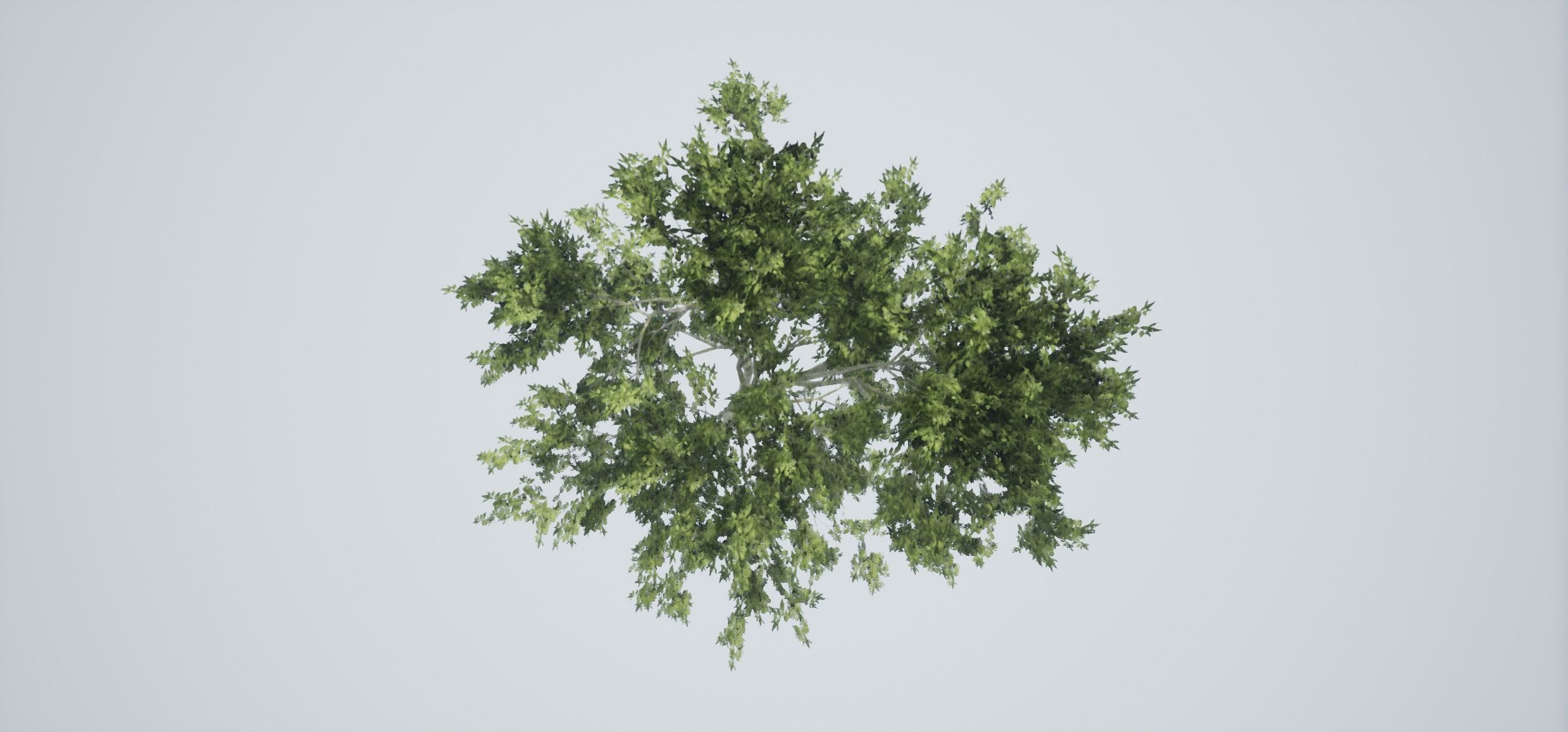 3D model Tree Open VR / AR / low-poly | CGTrader